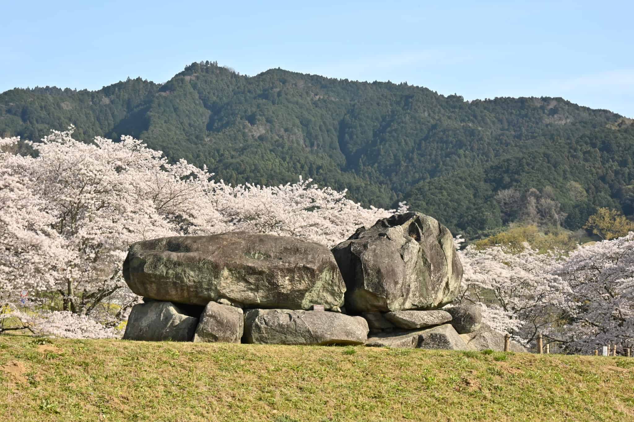 A special monitor tour of the “Asuka-Fujiwara” area, which aims to be ...